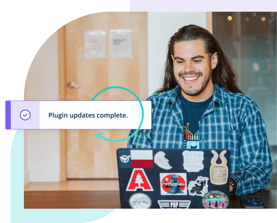 Automatic WordPress Plugin Updates | WP Engine®