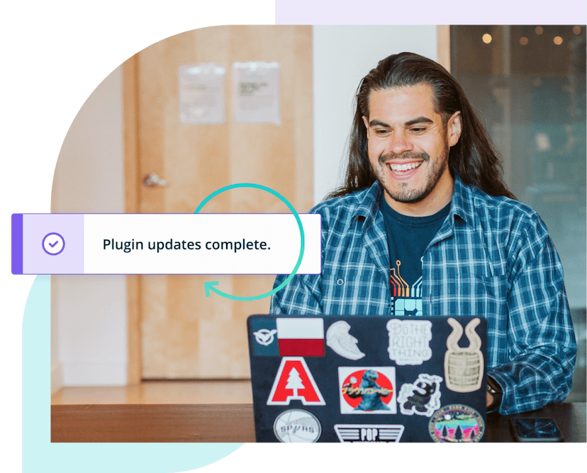 Automatic WordPress Plugin Updates | WP Engine®