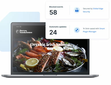 Trusted Website Hosting Platform | WP Engine®
