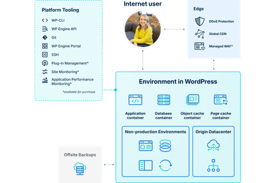 The #1 Platform for WordPress 2025 | WP Engine®