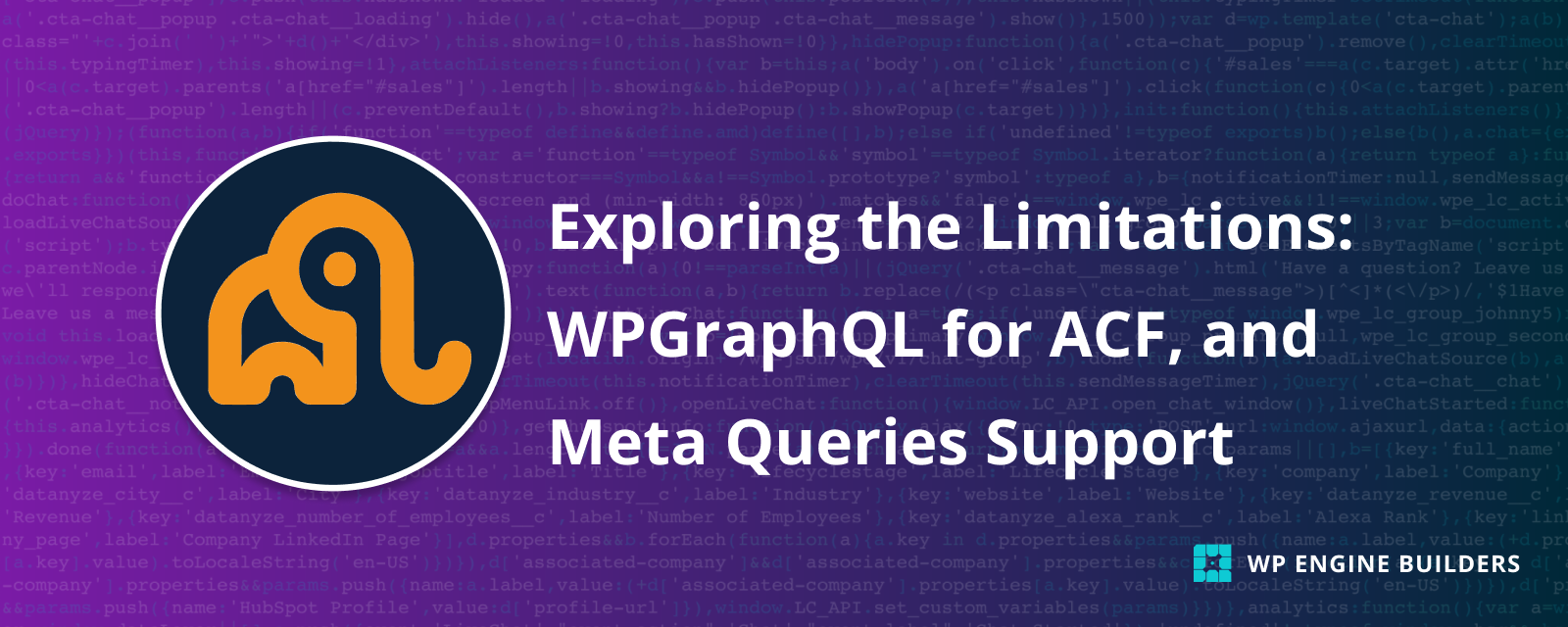 Understanding the Limitations: WPGraphQL for ACF, and Meta Queries Support - Builders