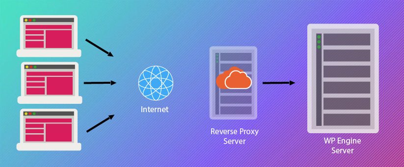Using a Reverse Proxy with WP Engine - Support Center