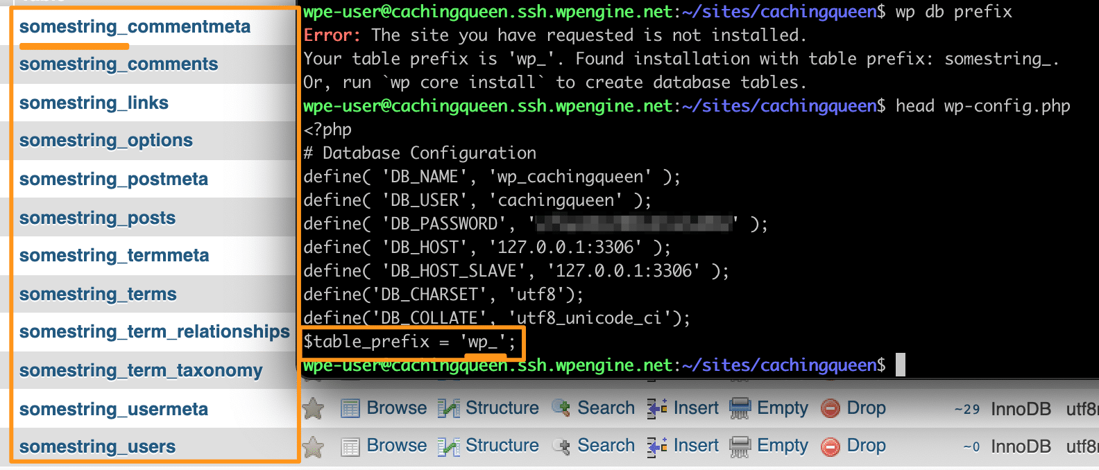 View or Edit WordPress Database Table Prefix - Support Center
