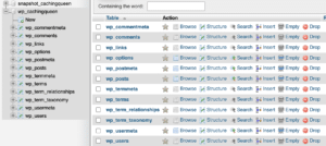 View or Edit WordPress Database Table Prefix - Support Center
