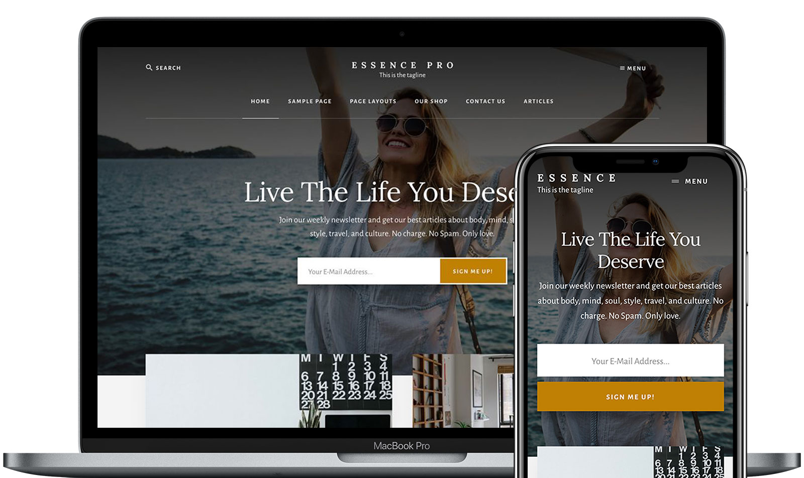 Genesis Framework and StudioPress Themes Now Available for WP Engine Customers | WP Engine