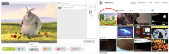 WordPress Live Video Streaming